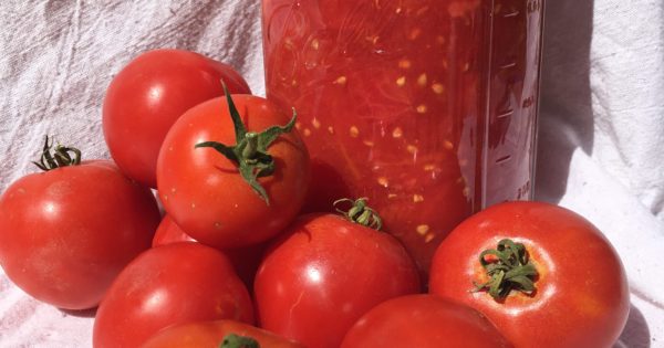 How to Blanch & Peel Tomatoes for Freezing, Canning, or Cooking ⋆ The ...